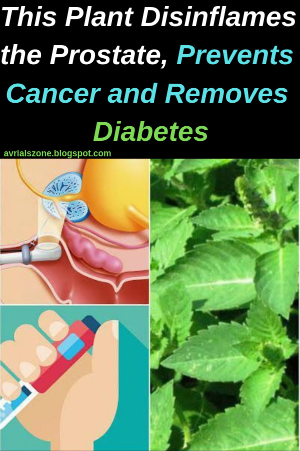 Healthy Beauty and Diet: This Plant Disinflames the Prostate, Prevents ...