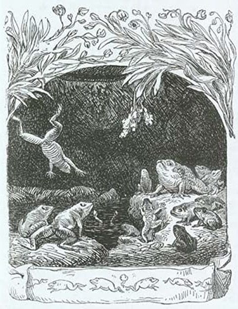 The toad - a fairy tale by Hans Christian Andersen - Fairy Tales ...