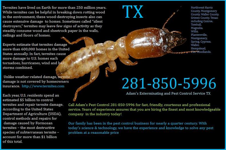 Pest Control Companies TX