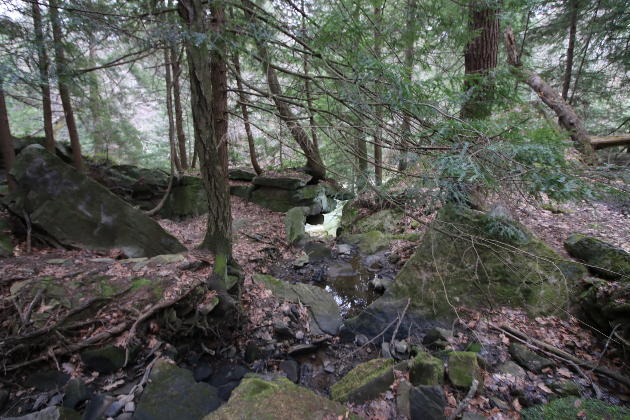 Frew Mills Falls Area of Slippery Rock Creek and Grant City Falls ...