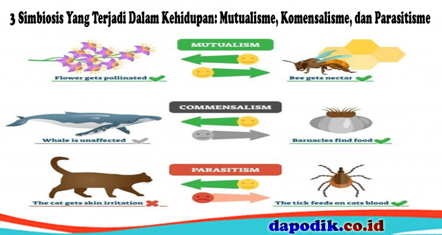 Jenis Jenis Simbiosis - Riset Jenis Jenis Simbiosis - Riset