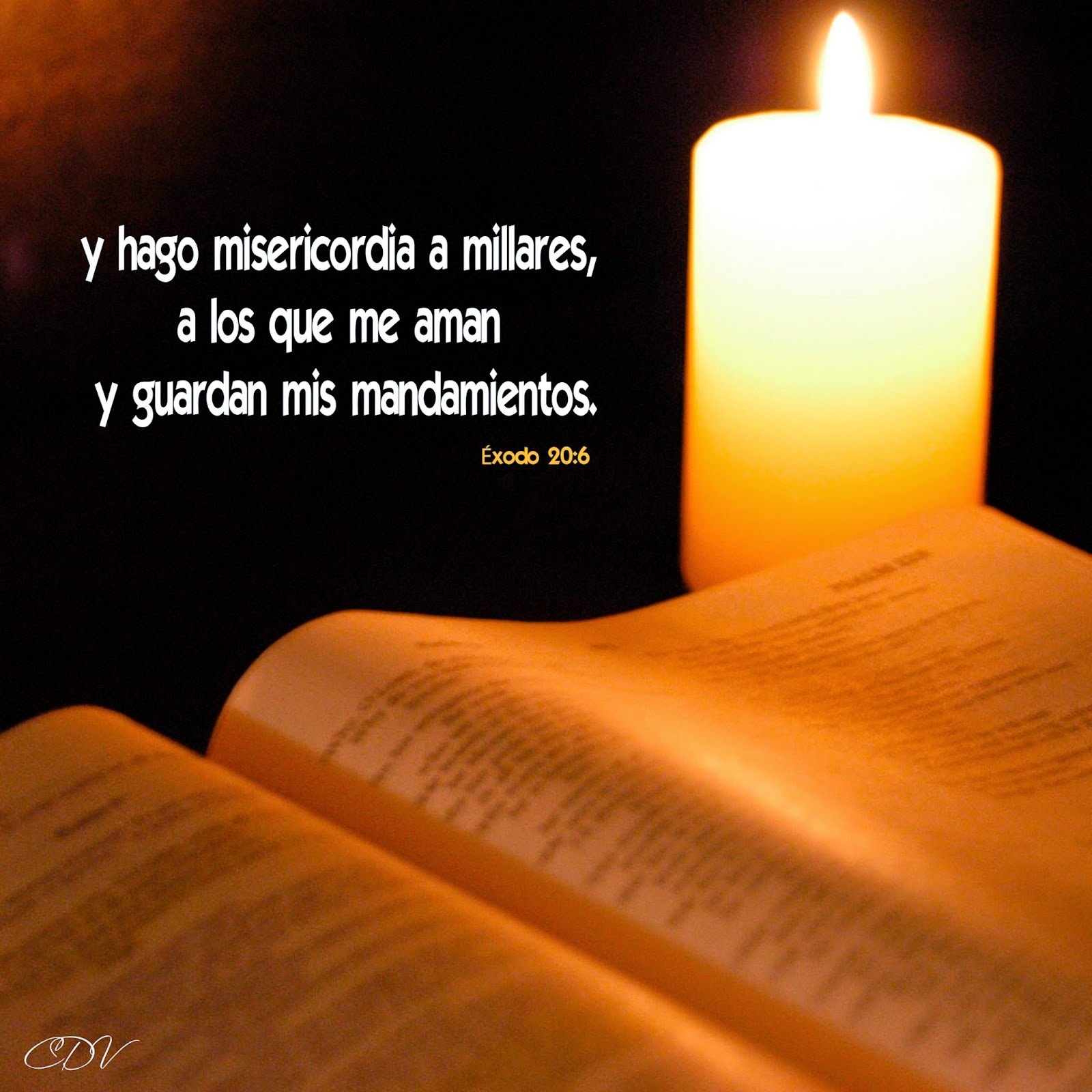 iglesia-bautista-centro-de-vida-xodo-20-6