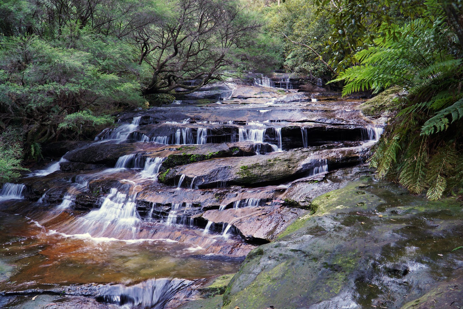 Leura Cascades (Blue Mountains National Park) ~ The Long Way's Better