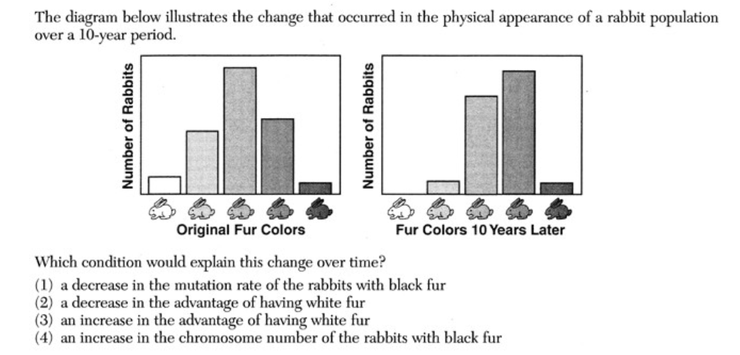 EC Honors Biology: Evolution and Natural Selection