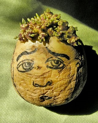 FUN GREEDY: Potato Art and Sculptures