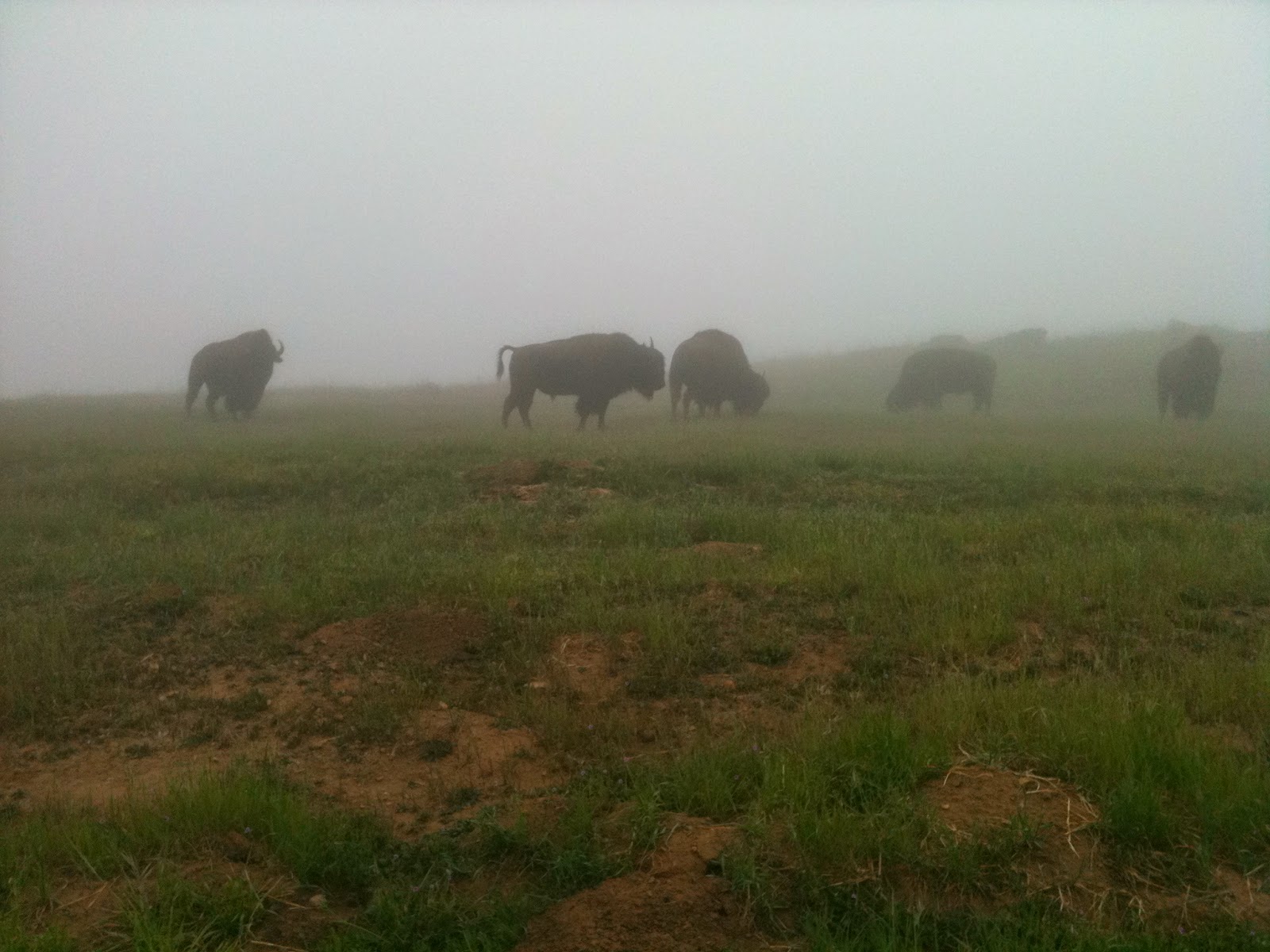 The Interwar Years: Camp Pendleton I