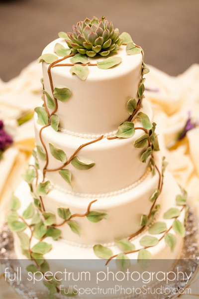"It's All About The Cake": Organic Wedding Cake