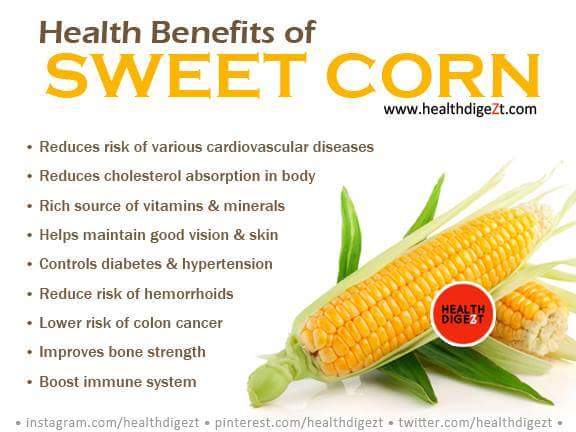rainbowdiary: Health Benefits Of Sweet Corn
