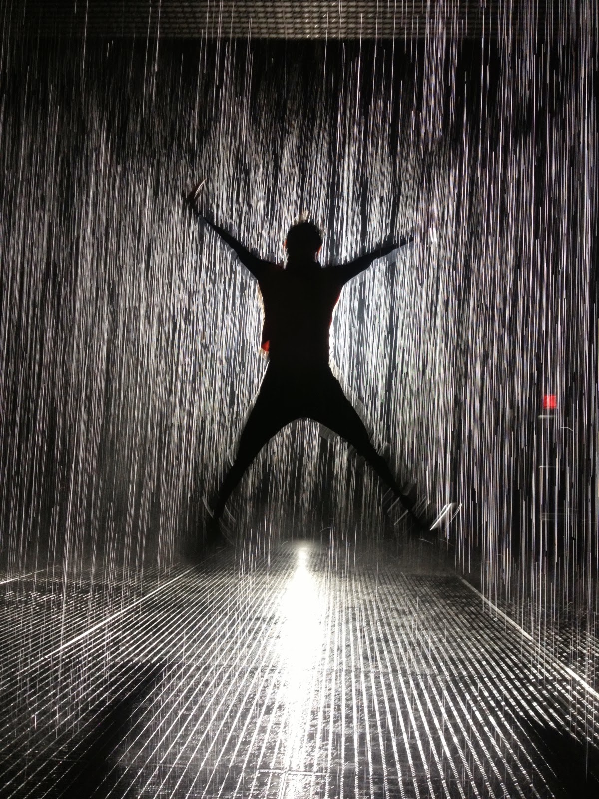 Jumping in Art Museums: Rain Room at MoMA Jumping!