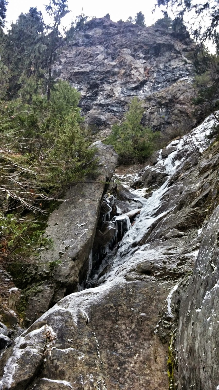 Hiking in the Pacific Northwest: Mount Dickerman Hike: 12/16/14