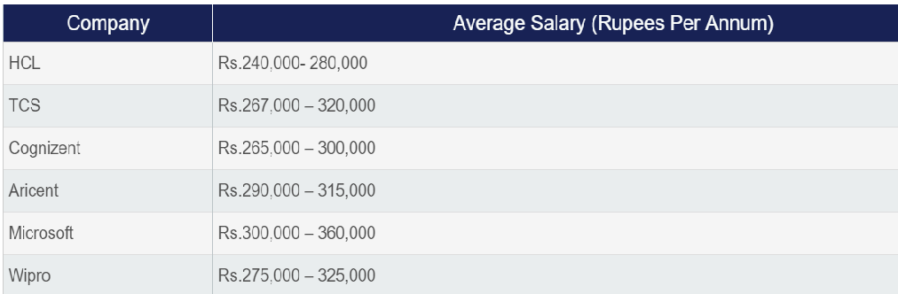 Highest Salary after BCA | Jobs | Best Companies | Salary | Payment ...