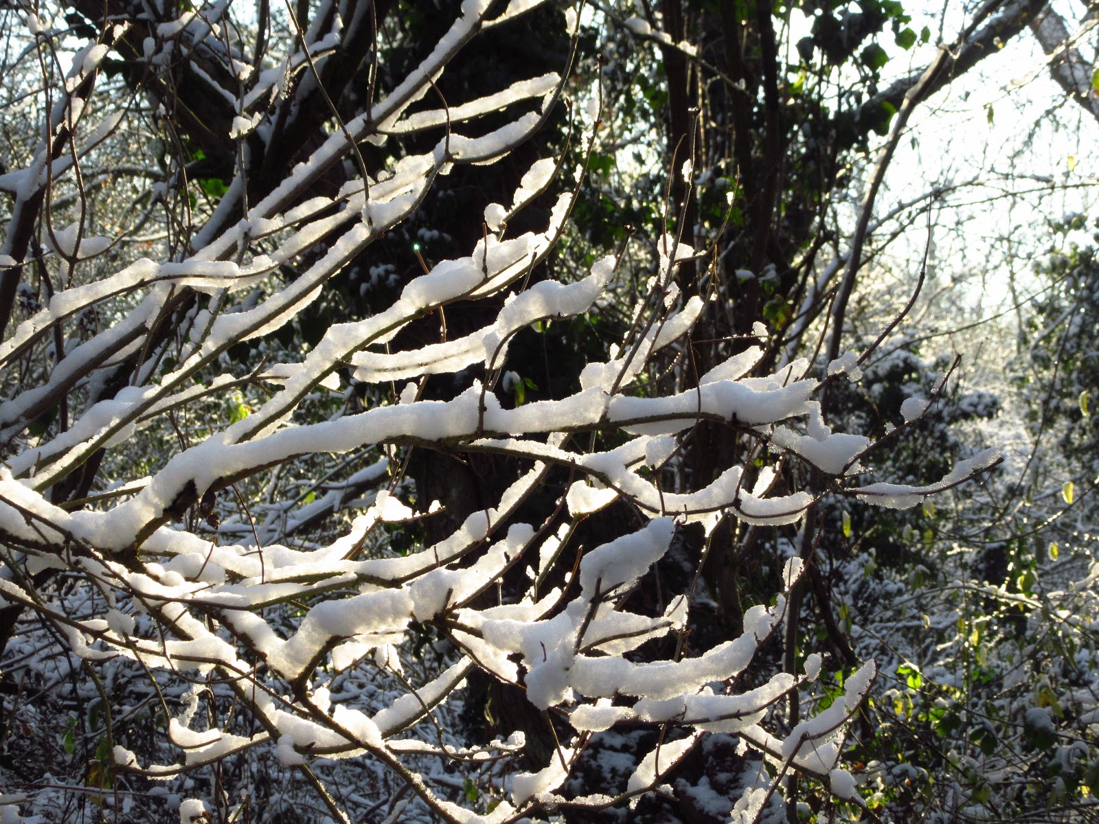 Bunny Mummy: Snowy Magic