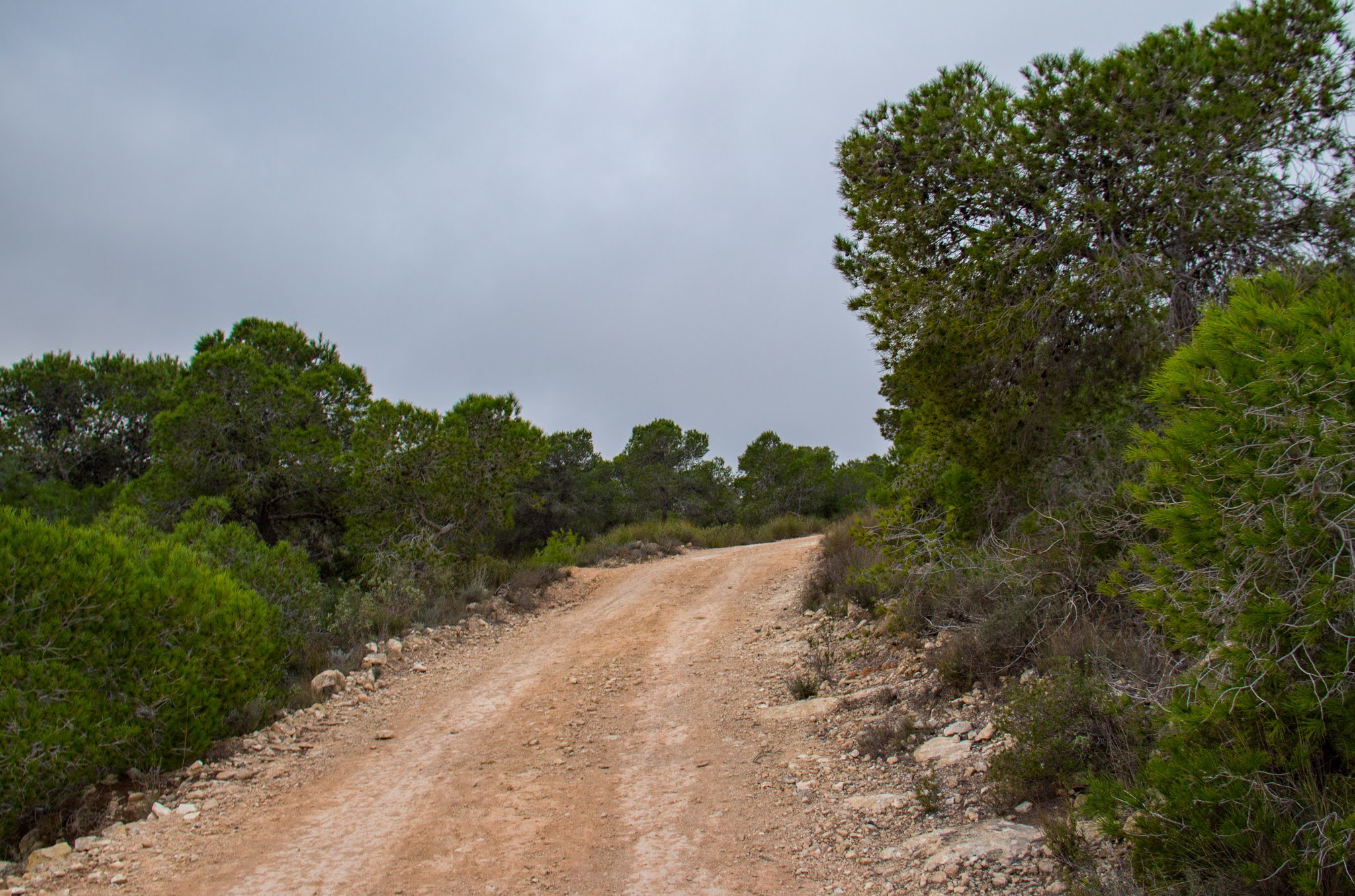 RUTA CIRCULAR AL CERRO DEL AGUDO DESDE BARBARROJA.