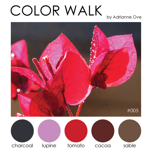 Little Bluebell: Color Walk 005