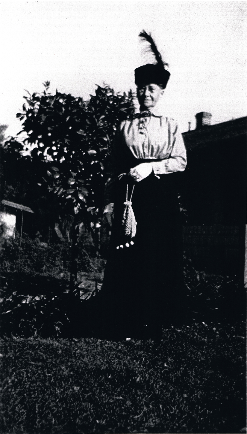 Trowbridge & Turner Genealogy: Adeline Martha Mann & Clarence Helmer ...