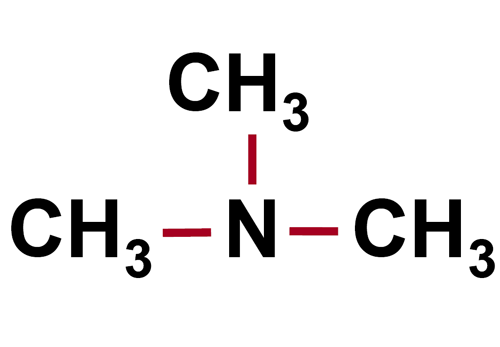 Compuestos Químicos Orgánicos: EJEMPLOS DE AMINAS