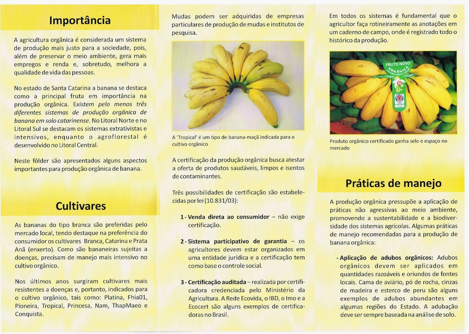 Publicações ~ CULTIVO ORGANICO