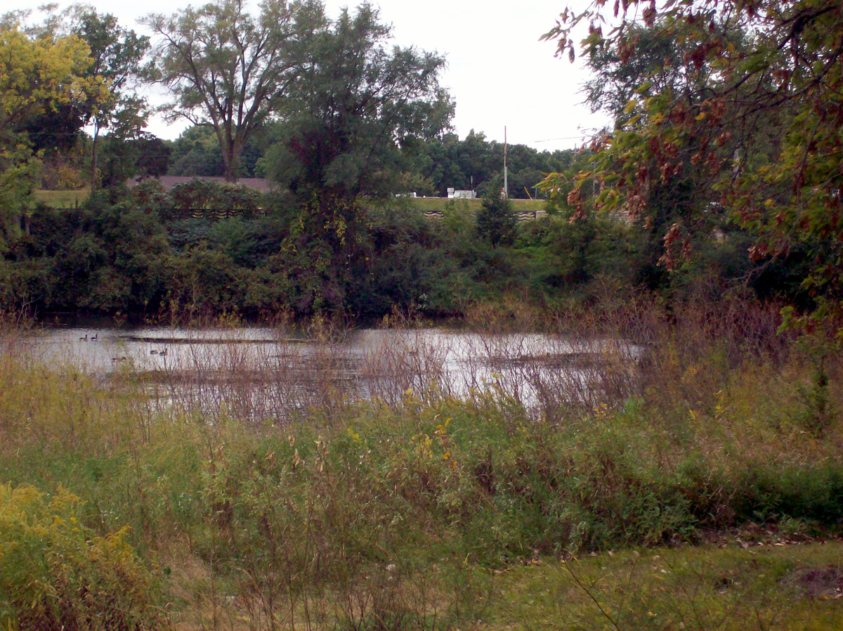 The Railroad Bridges of Coon Rapids Boulevard 2011
