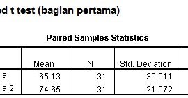 Contoh Soal Uji t: Paired Sample t Test + Analisisnya - Bagian II