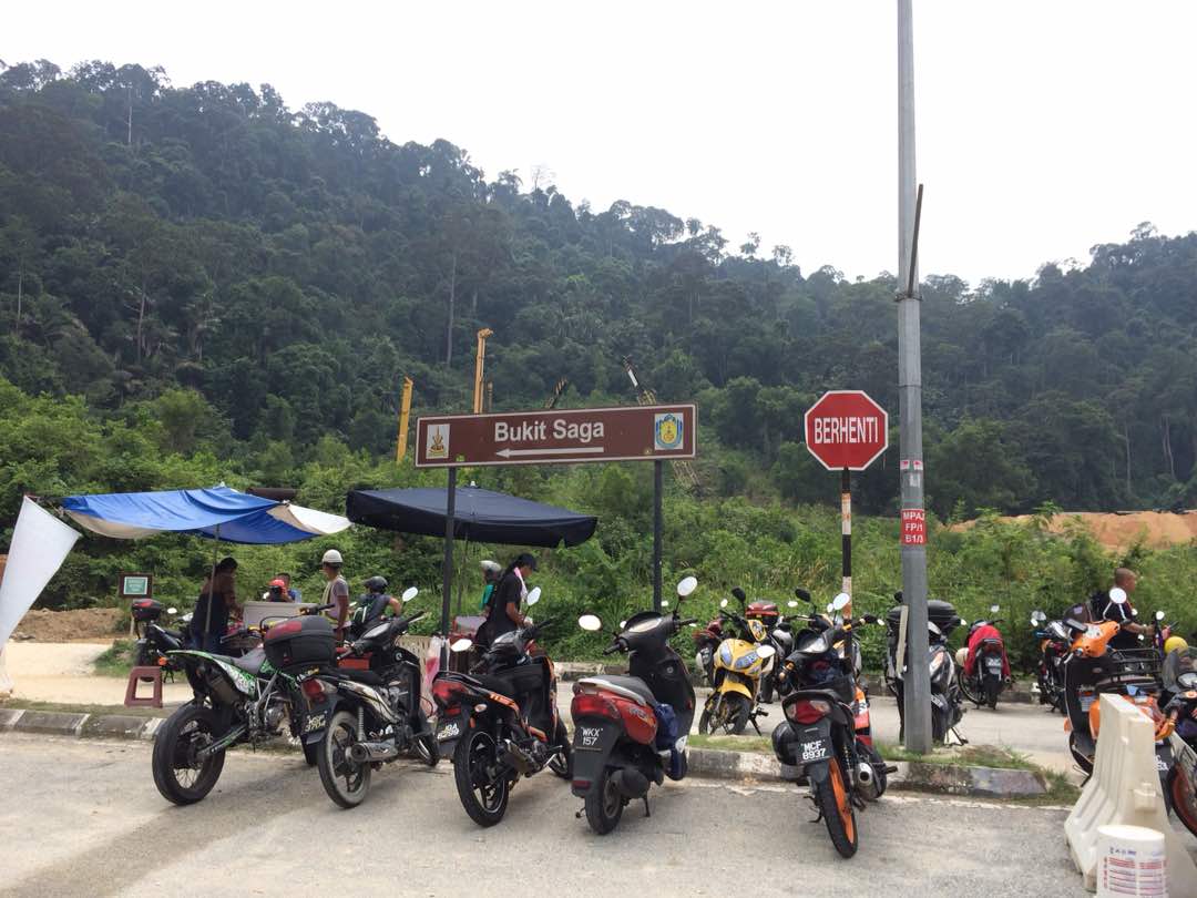 Mendaki Bukit Saga