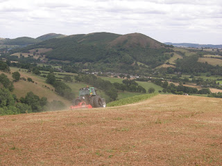 Shropshire Master Composters News: Composting Bracken in Shropshire