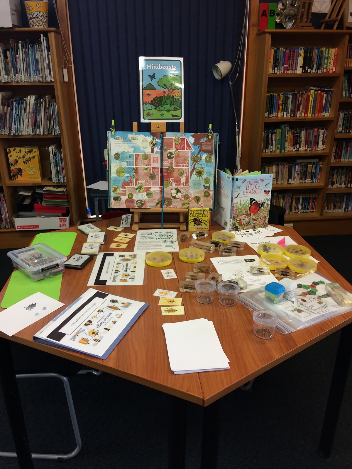 'ACE' - Allen Centre Explorers: Term one in the Allen Centre!