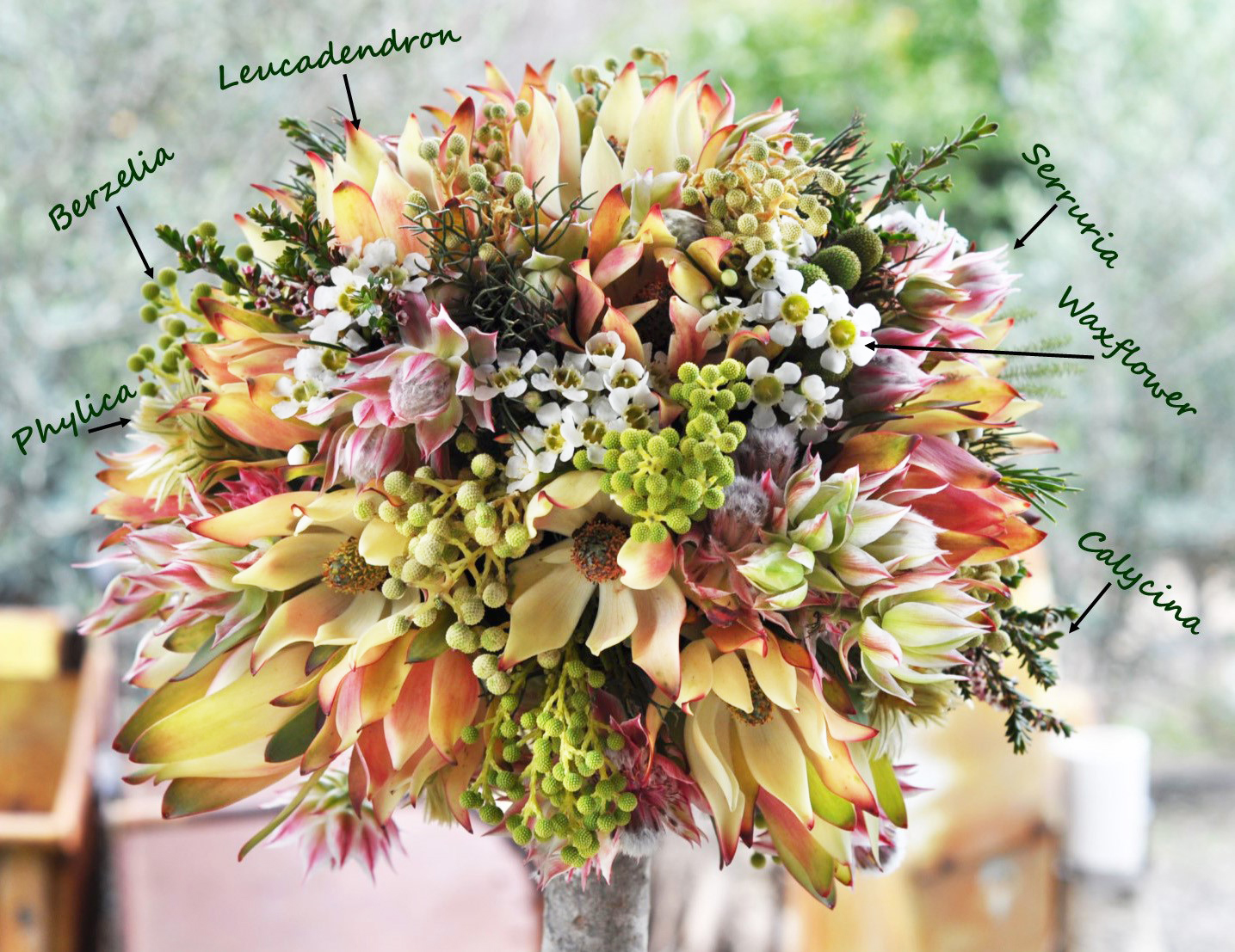 A Passion for Flowers: Spring Floral Topiaries