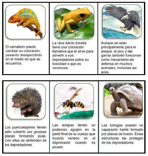 APREND@MOS EN CASA-GRADO SEGUNDO Y TERCERO: CIENCIAS NATURALES Y EDU ...