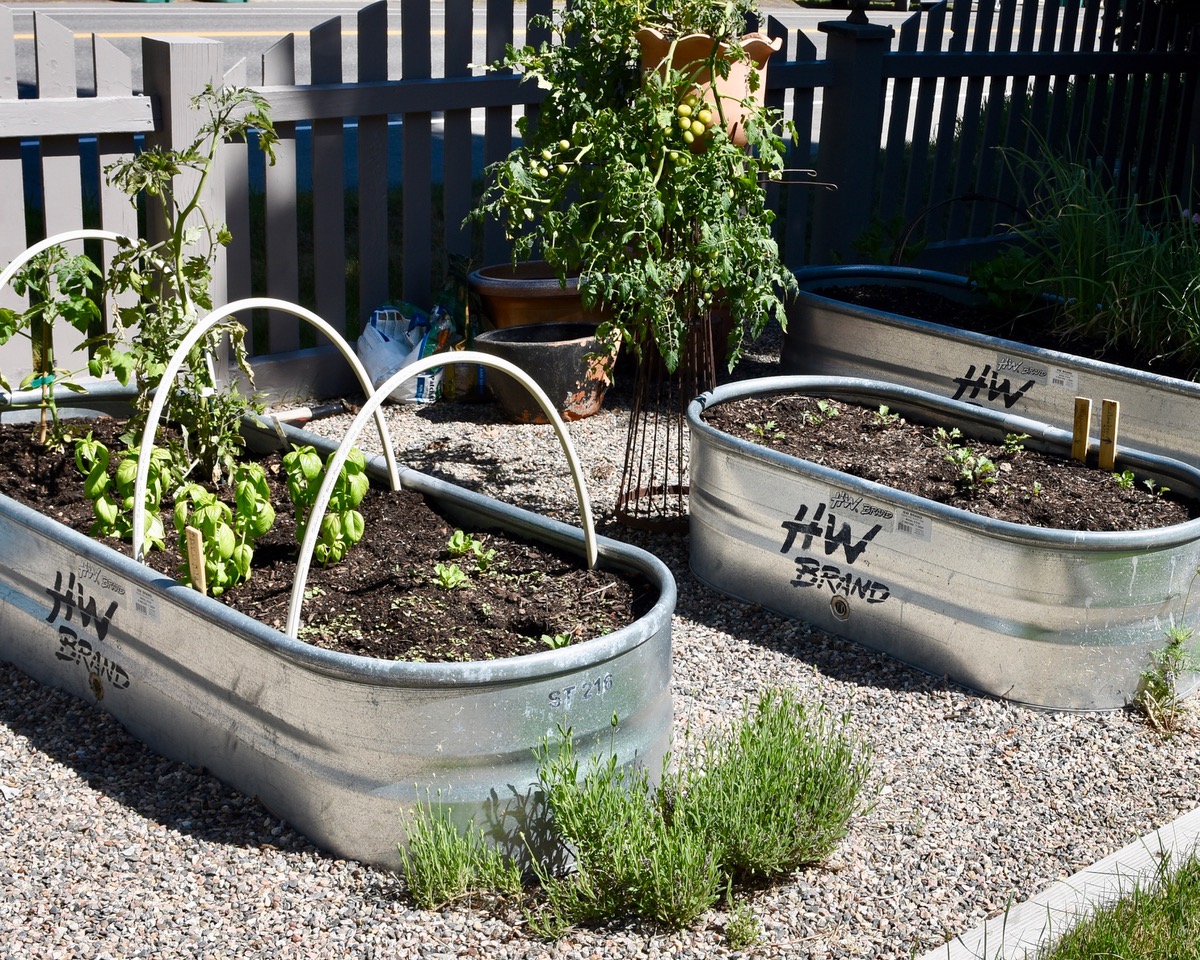 Colorado Mountain Gardener: Container Gardening