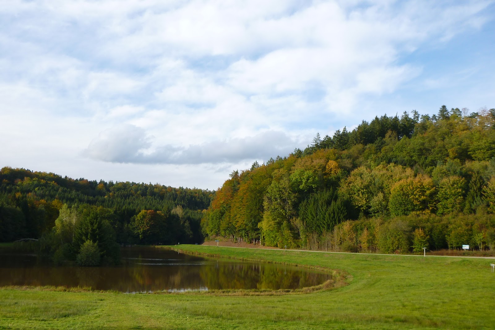 Oli / Cyclocross (et un peu de VTT): Route Vosges : Col de Steige...