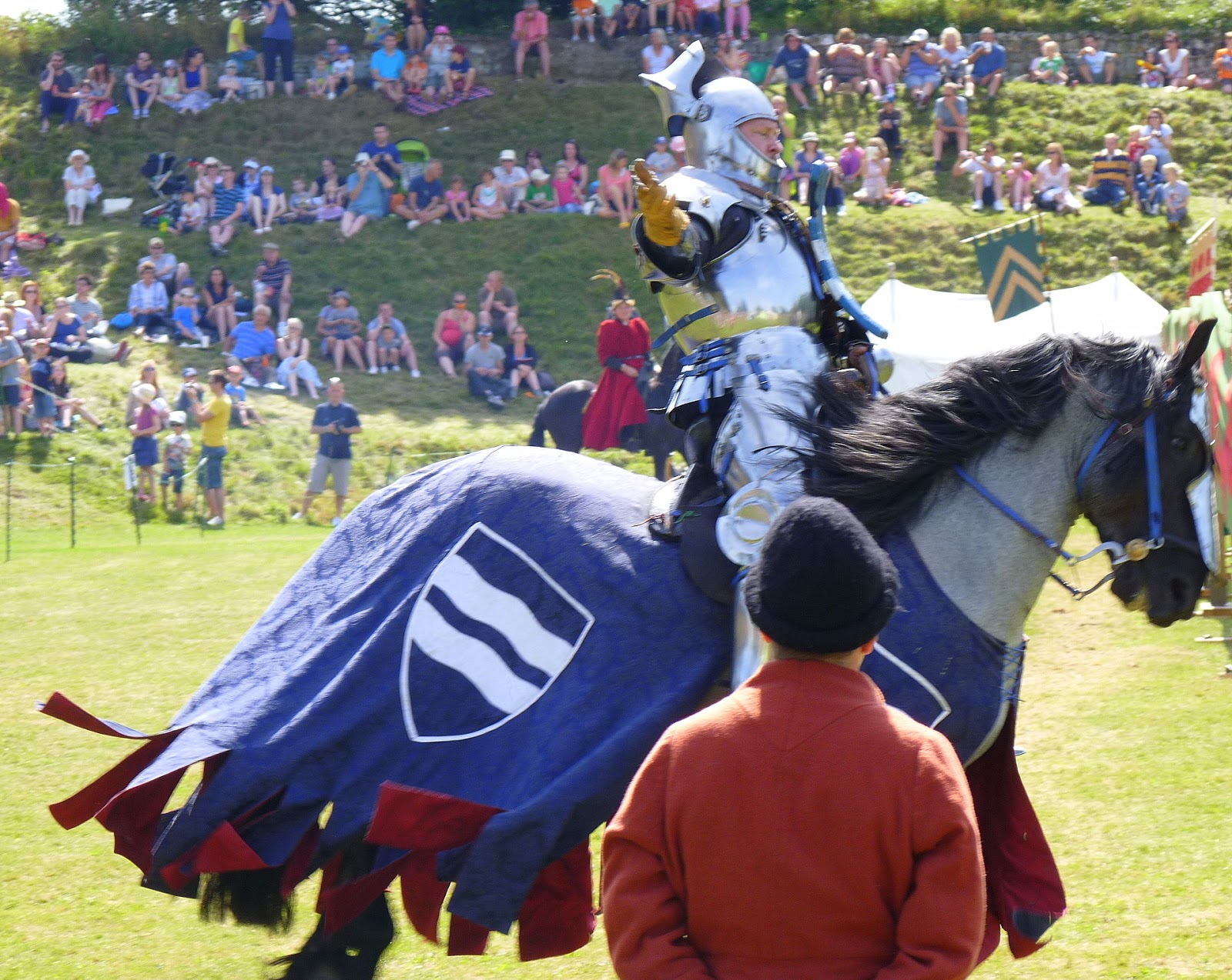 Birding For Pleasure: Jousting At Carisbrooke Castle