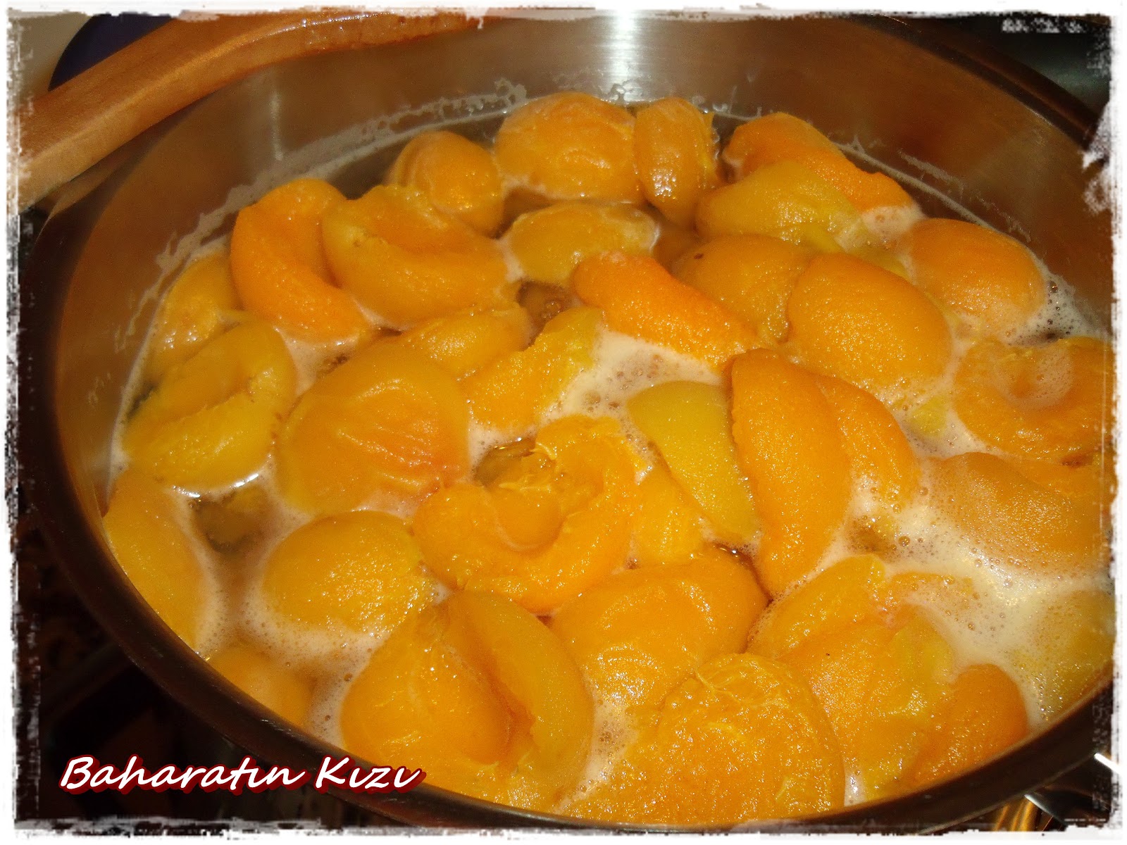 Baharatın Kızı: KAYISI NEKTARI