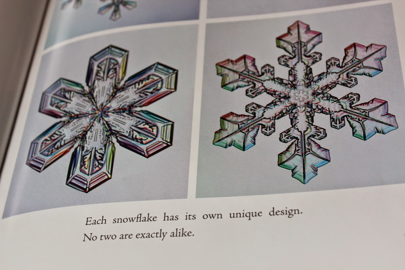 The Blue Barn: Growing Crystal Snowflakes
