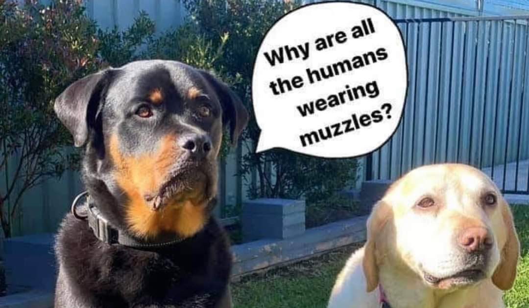 My Creative Works: UGH!!! Why???