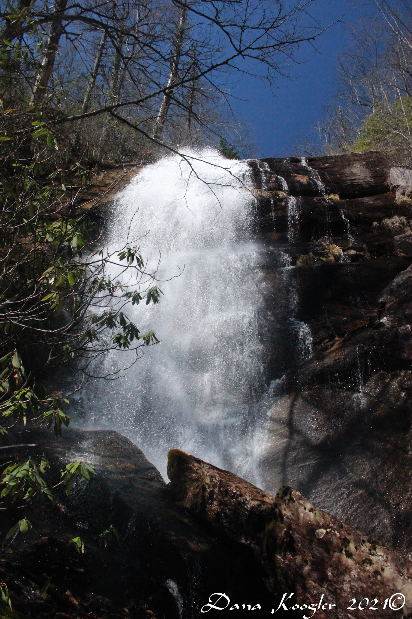 Cumberland Gal: Waterfall Keepers Trip #2: Lemon Falls, Logging Road ...