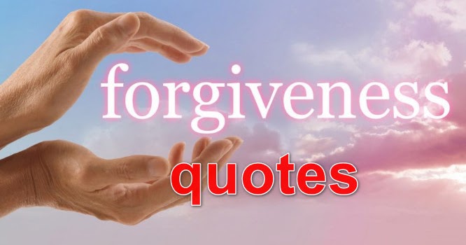 100+ best forgiveness quotes will help you let go of the past and better
