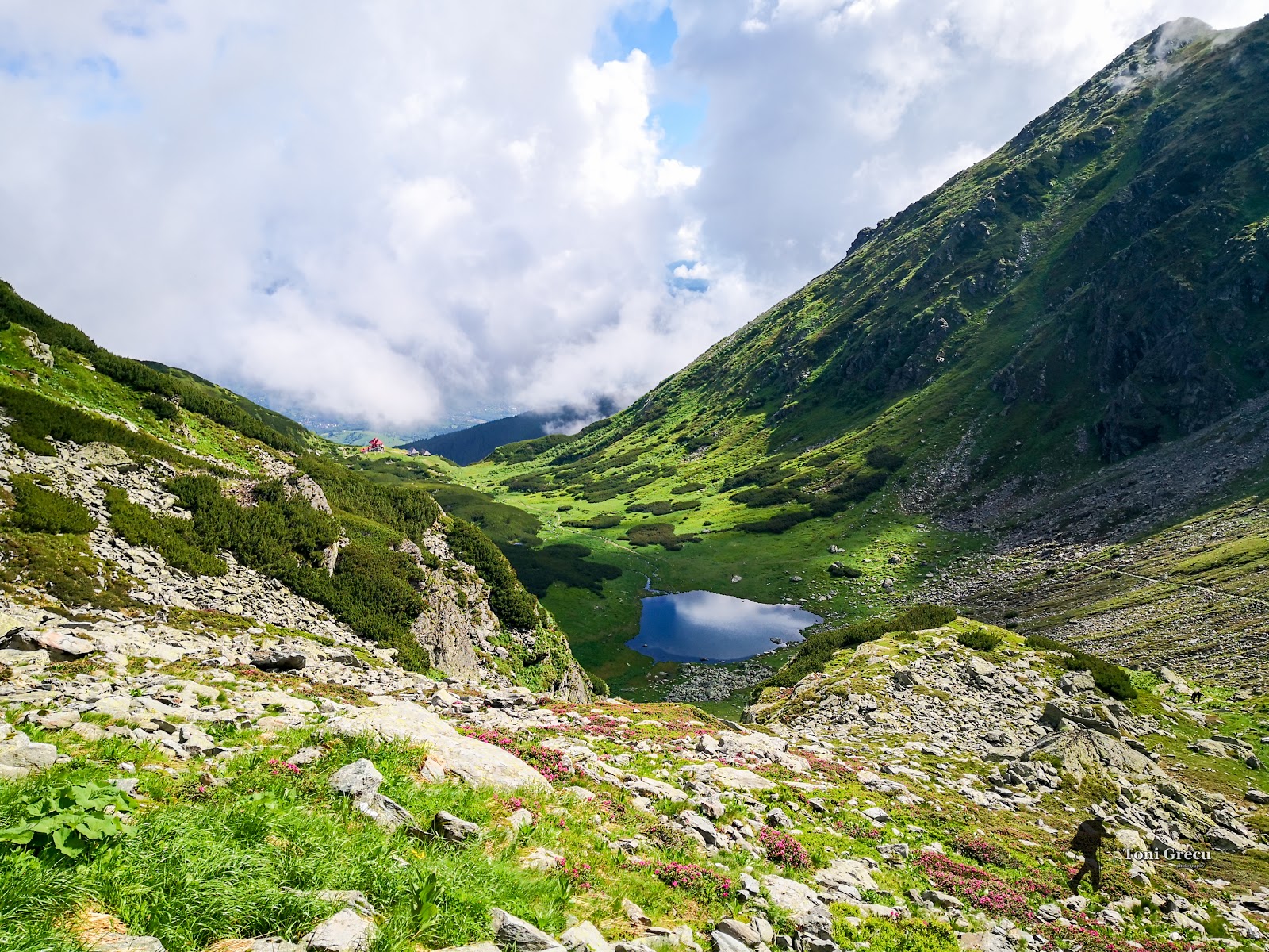 Vârful Pietrosul Rodnei - Vârful Buhăescu Mare ~ Jurnal de drumeții