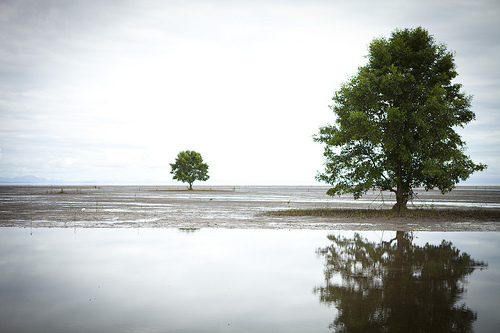 Turismo Panamá: Playa Ecológica El Agallito