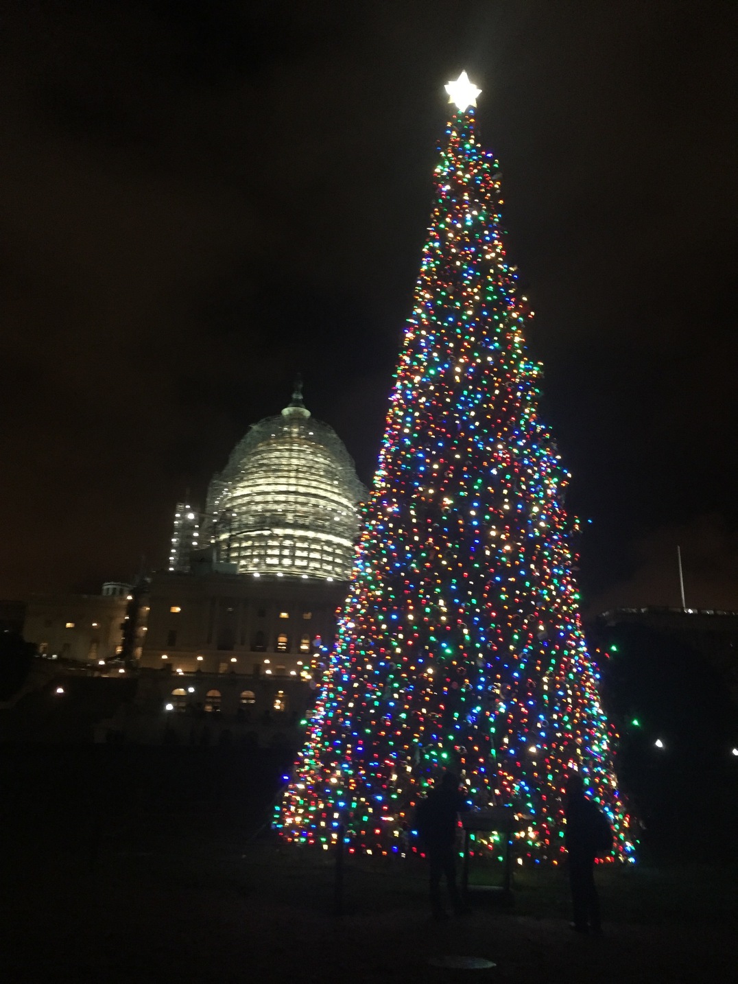 JFK + 50: FIRST NATIONAL CHRISTMAS TREE