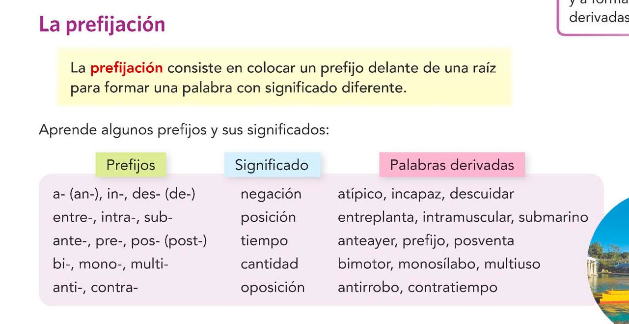 5º CEO Enlaces Lengua: UNIDAD 7: Los determinantes: numerales e ...