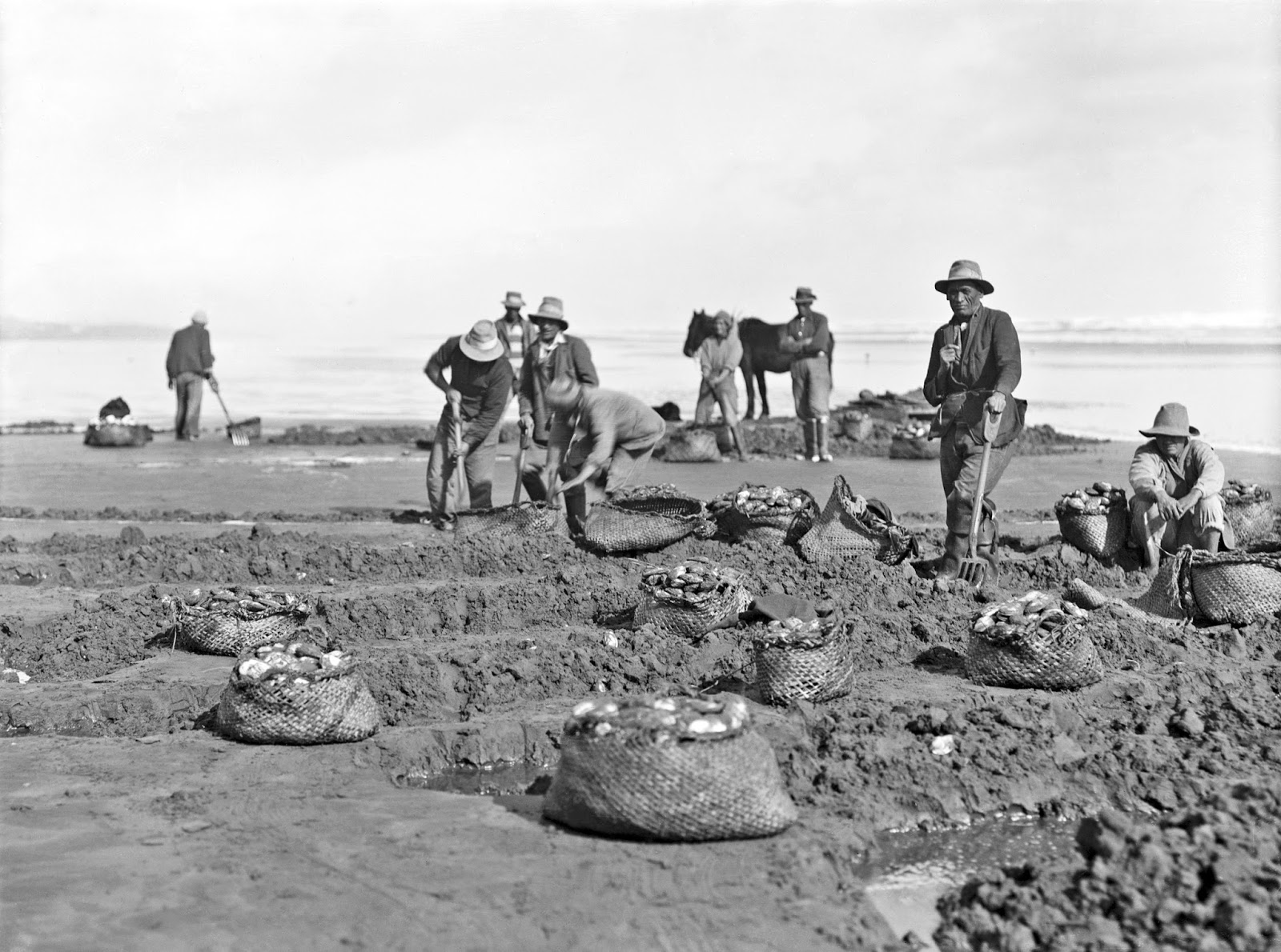 History in Photos: Northwood Brothers