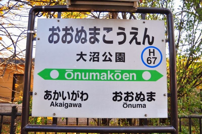 Go Away, Sam...: Japan (Oct2013): Day 6 Onuma-koen, then Hakodate to ...