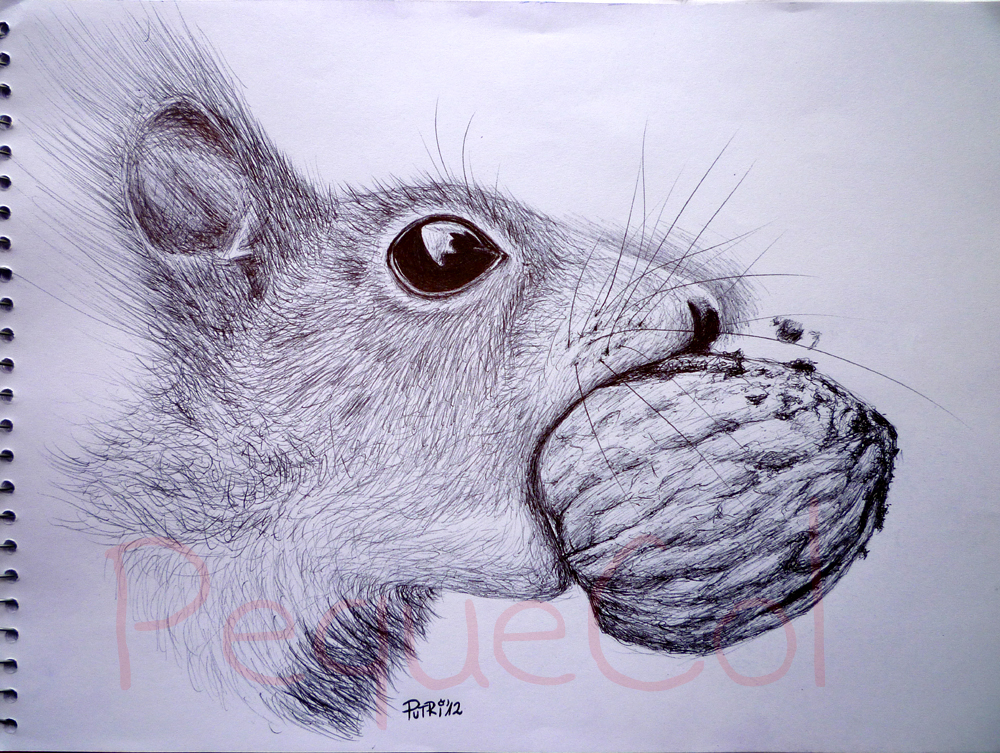 El Rincón de PequeCol: Dibujos a Boli Bic (III)