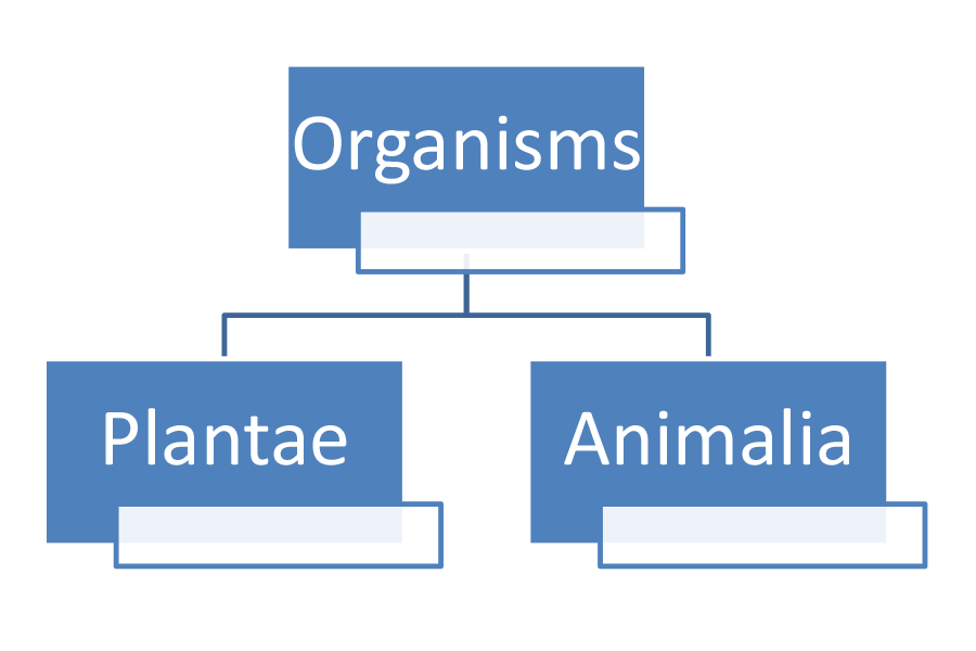 Perfect Knowledge: Classification of Organisms