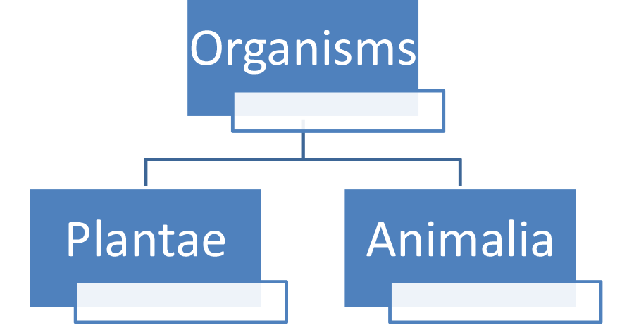 Perfect Knowledge: Classification of Organisms