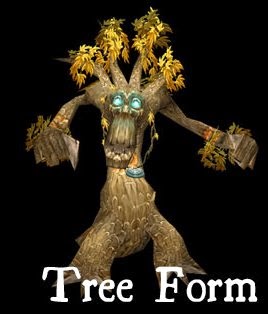 Master of World of Warcraft : Tree form exploit.