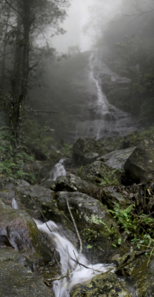 Tamilnadu Tourism: Manjolai Hills, Thirunelveli