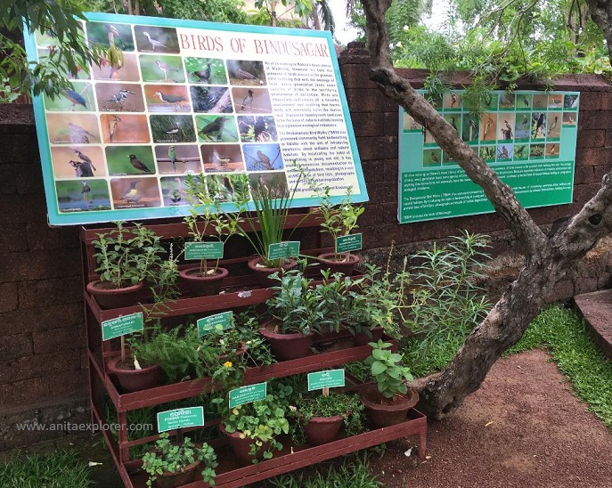 Ekamra Van Bhubaneswar #AToZChallenge | The Explorer of Miracles