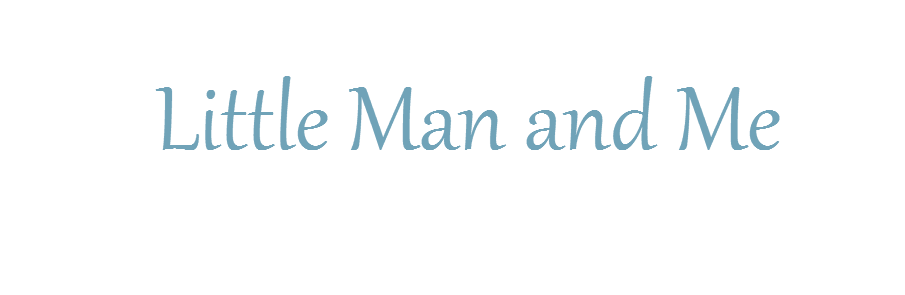 Little Man and Me: Little Man's ShrekTacular 2nd Birthday!!!