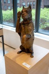 Sgt. Stubby, AKC Museum of the Dog, NY, NY